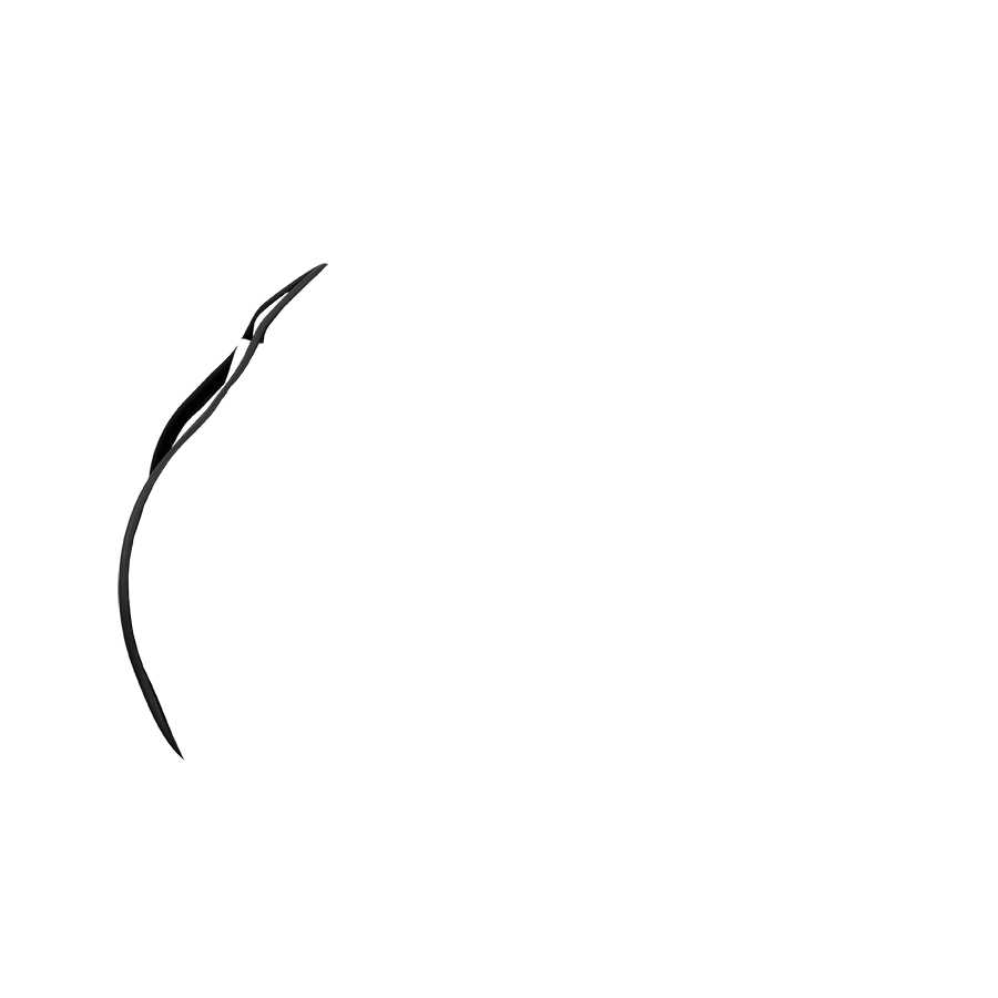 Customize your saddle - DS Saddles